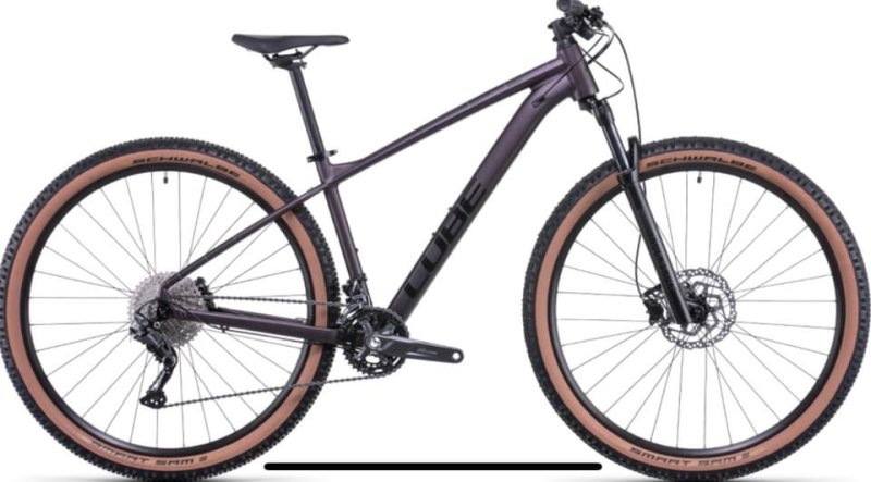 Gestolen Fiets Cube Access